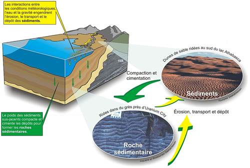 La Constitution du Sable Mouvant
